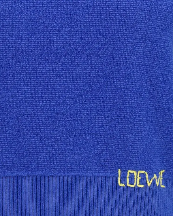 Loewe Woo Sweater Femae