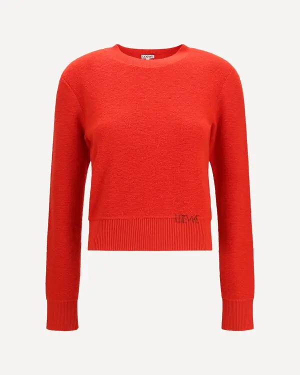 Loewe Woo Sweater Femae