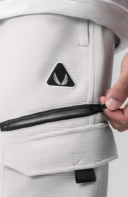 ASRV Deltapeak Cargo Cinch Jogger - Light Grey