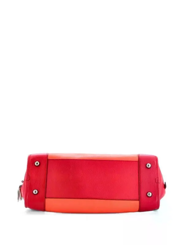 Loewe Amazona Nm Bag Leather 36 Satchel