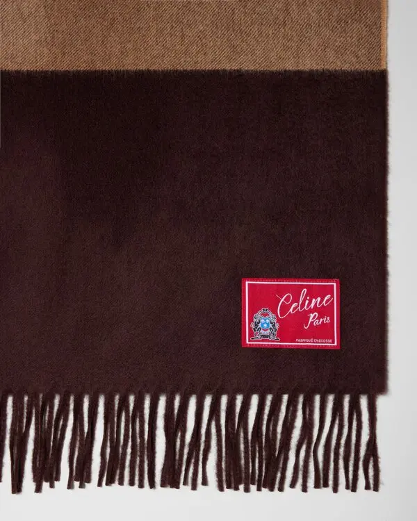 Celine Bicolor Cashmere Scarf