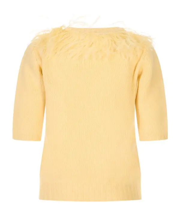 Fabiana Filippi Feather-trimmed Knit Sweater