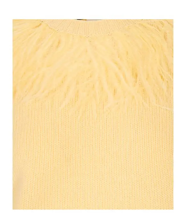 Fabiana Filippi Feather-trimmed Knit Sweater