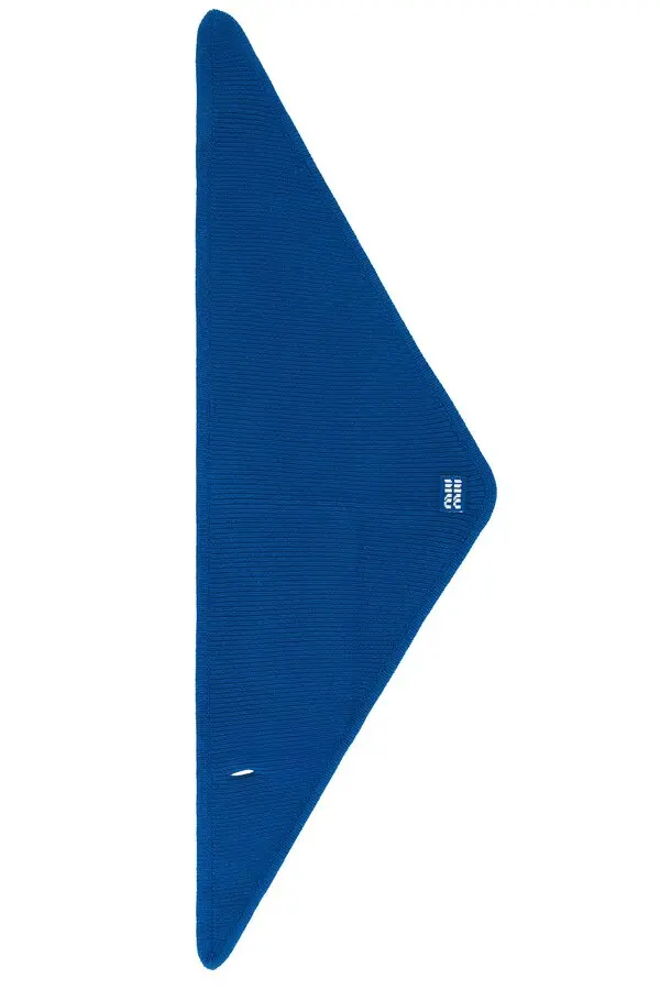 Miu Miu Cashmere Wool Scarf In Blue