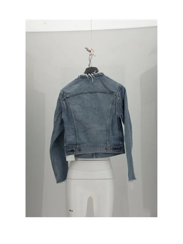 Celine Trucker Jacket
