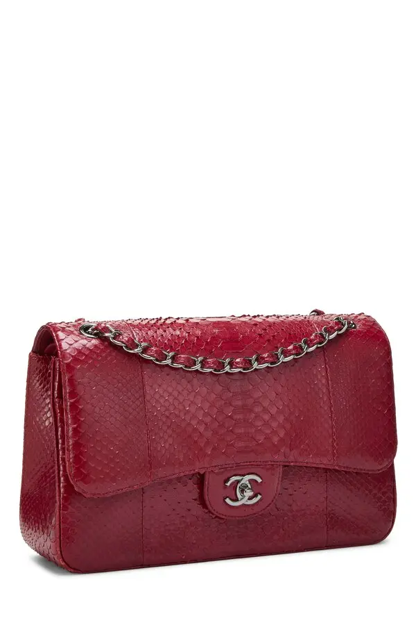 Chanel Python New Classic