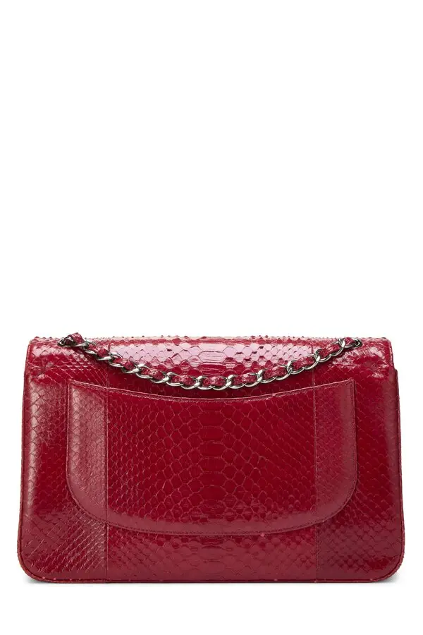 Chanel Python New Classic