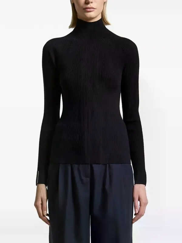 Peserico Ribbed-knit High-neck Sweater