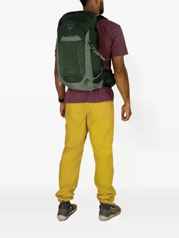 OSPREY Talon 22 Backpack
