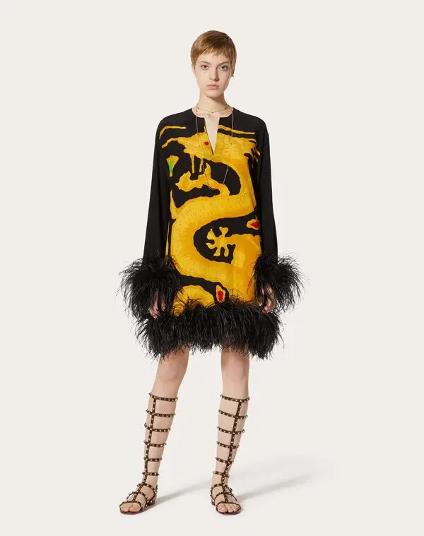 Valentino Garavani Dragon-print Feather-trim Silk Dress
