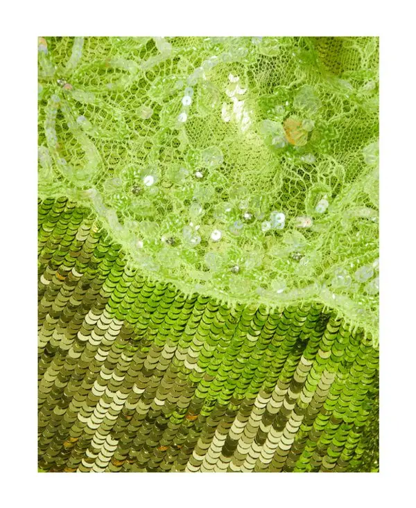 Valentino Garavani Embroidery Lace Long-sleeved Dress