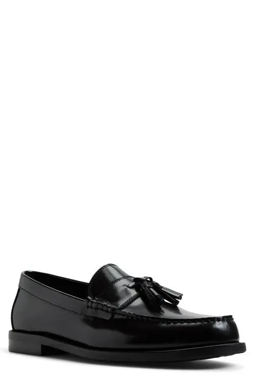 Aldo Cairo Tassel Leather Loafer