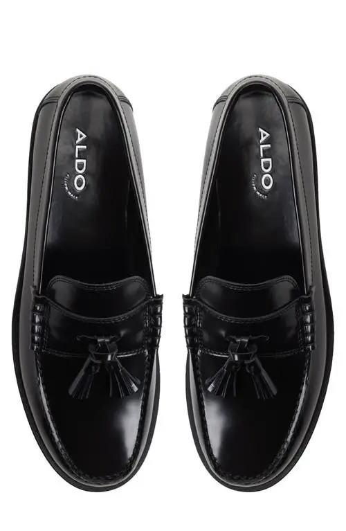 Aldo Cairo Tassel Leather Loafer