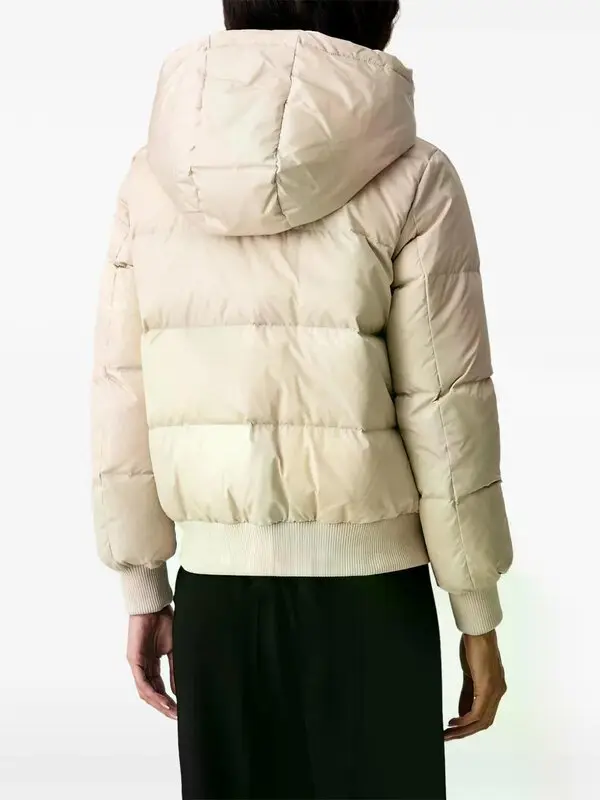 Armani Exchange Hooded Padded Jacket