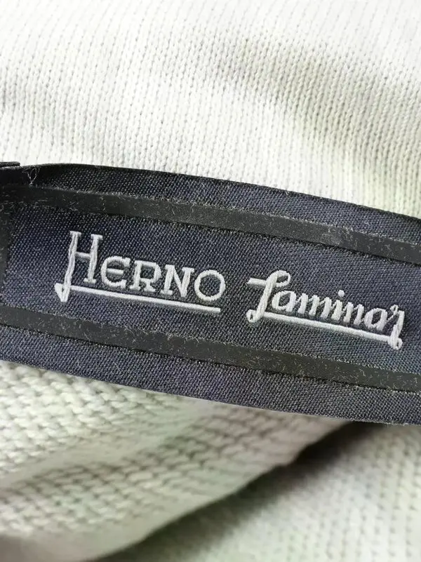 Herno 2020s Zip-up Hoodie