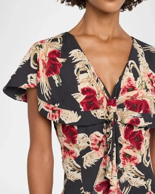 Cinq À Sept Anthony Wilted Poppy Maxi Dress - Obsidian Multi