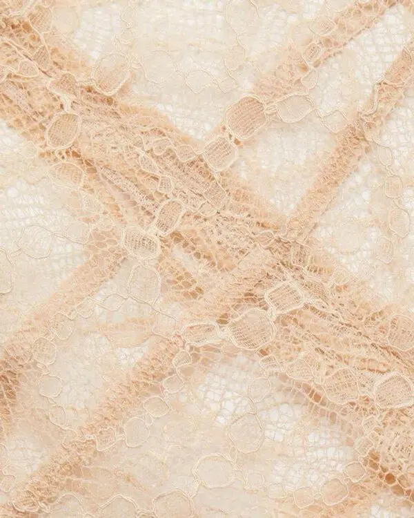 Kiki De Montparnasse Mon Cheri Sheer Lace Bodysuit - Blush