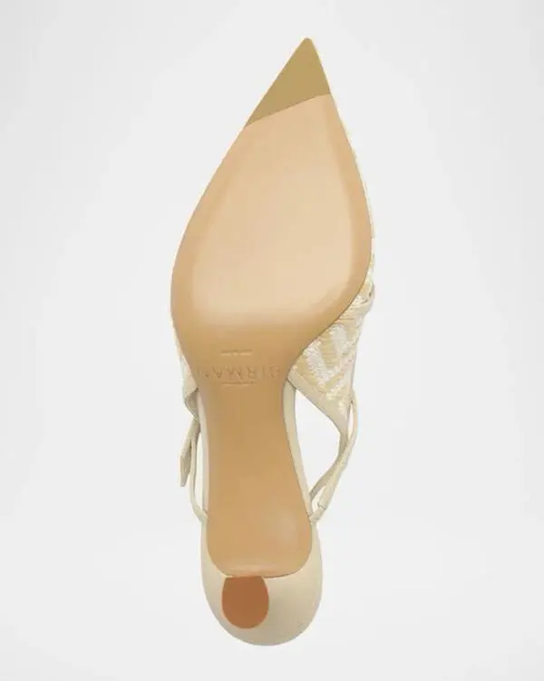 ALEXANDRE BIRMAN 60mm Tita Raffia Zig-zag Pumps