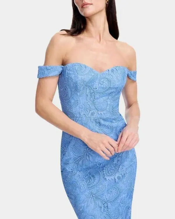Dress The Population Dorothy Lace Off-the-shoulder Column Gown - Sky
