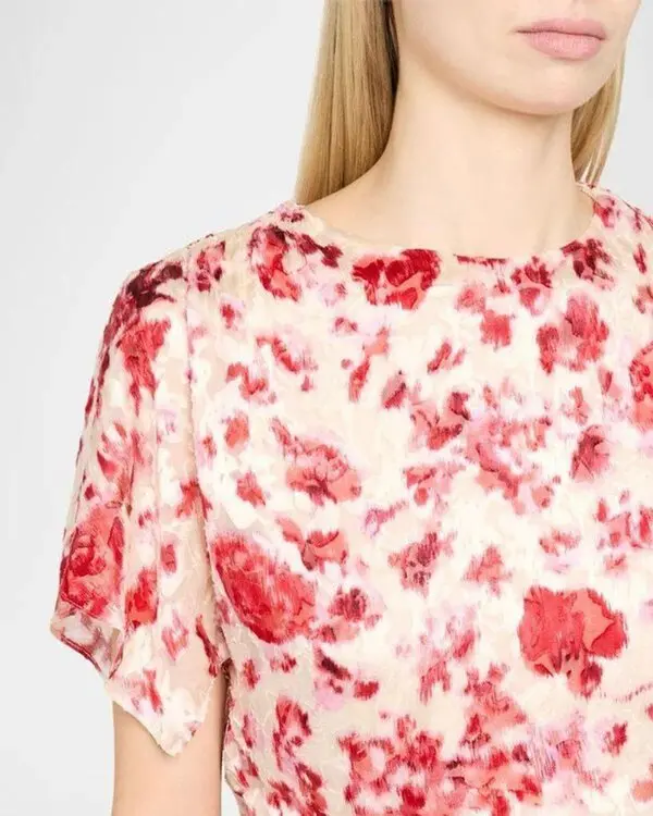 Isabel Marant Étoile Hervane Floral Devoré Silk Georgette Flutter-sleeve Top - Ecru/pink
