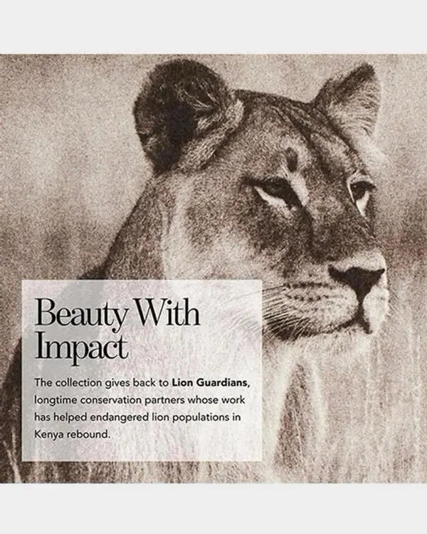 CHANTECAILLE Cheek Shade Blush - Lion/pride