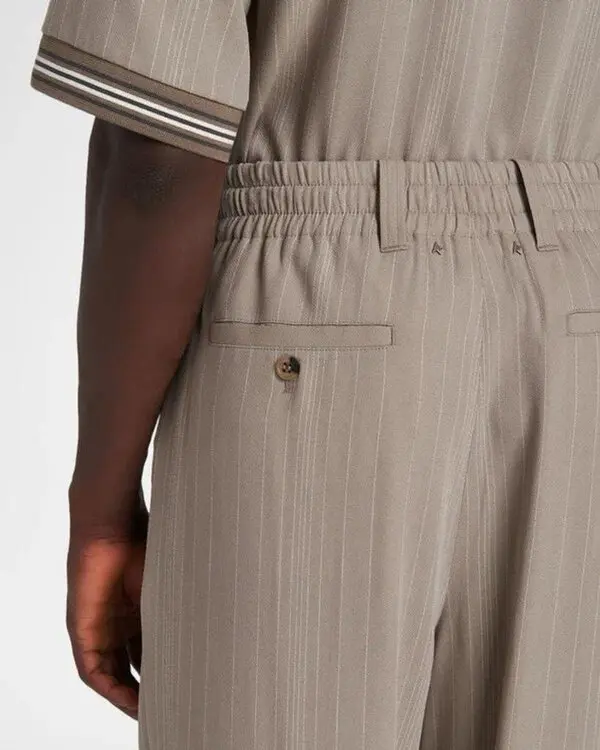 GOLDEN GOOSE Apos;s Hairline Stripe Pleated Wide-leg Trousers - Roasted Ca