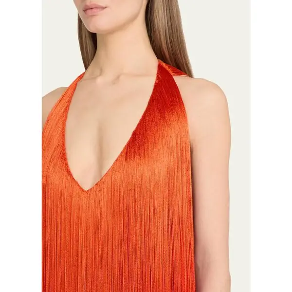 Oscar De La Renta Sleeveless Fringed Plunging Halter Gown
