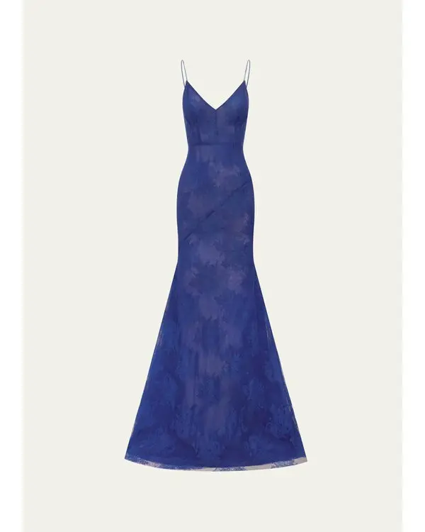 Alex Perry Plunging Sheer Lace Bikini Gown
