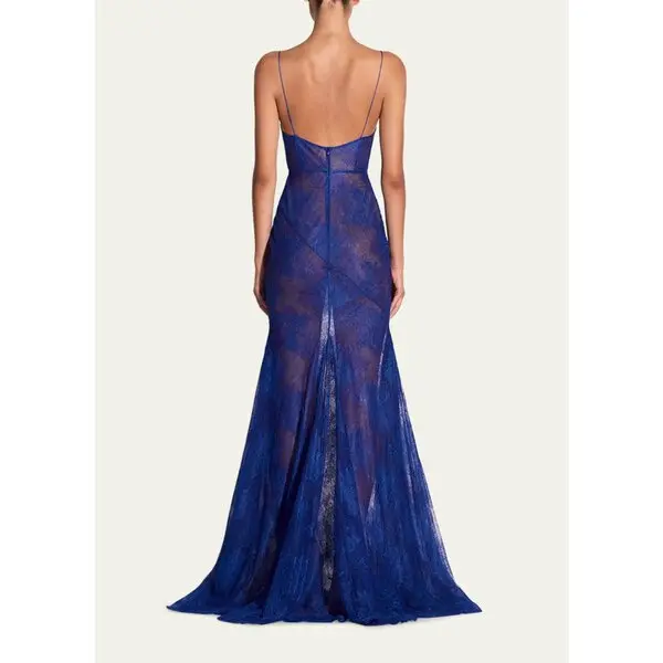 Alex Perry Plunging Sheer Lace Bikini Gown