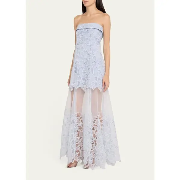 Simkhai Rennis Lace Bustier Gown