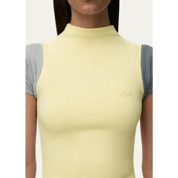 Loewe Mock-neck Colorblock Handkerchief Dress