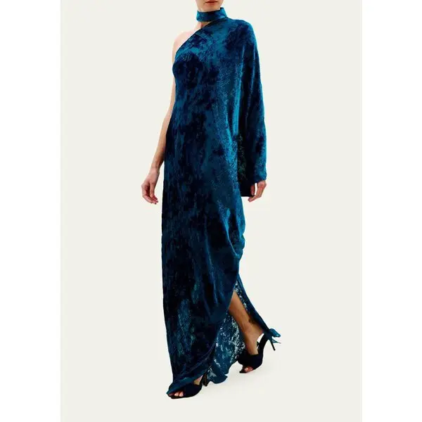 Silvia Tcherassi Anya Mock-neck Asymmetric Velvet Burnout Maxi Dress