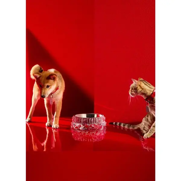 THE MARTHA, BY BACCARAT Louxor Crystal Pet Bowl, Large