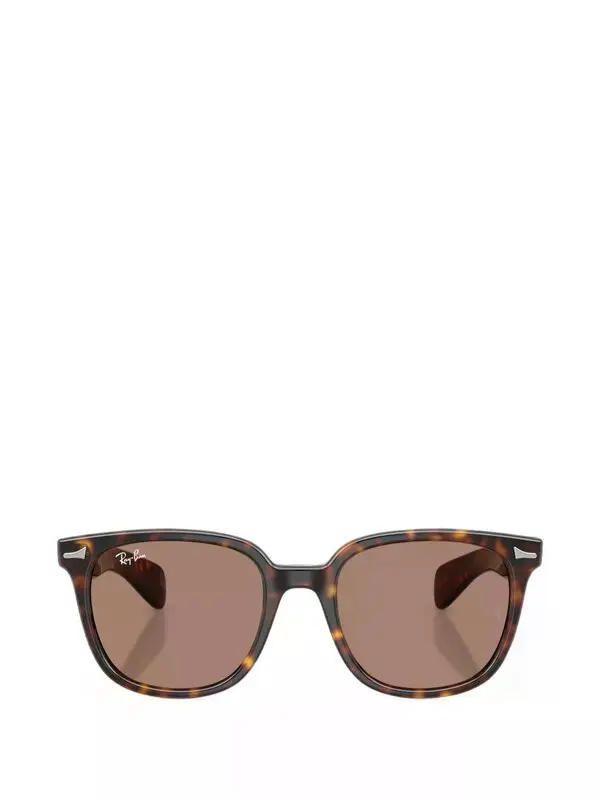 Ray-ban Brunel Ii Sunglasses - Brown