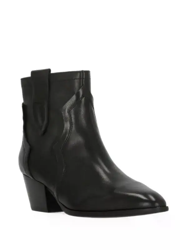 Ash Flare Pointed-toe Panelled Ankle Boots - Black