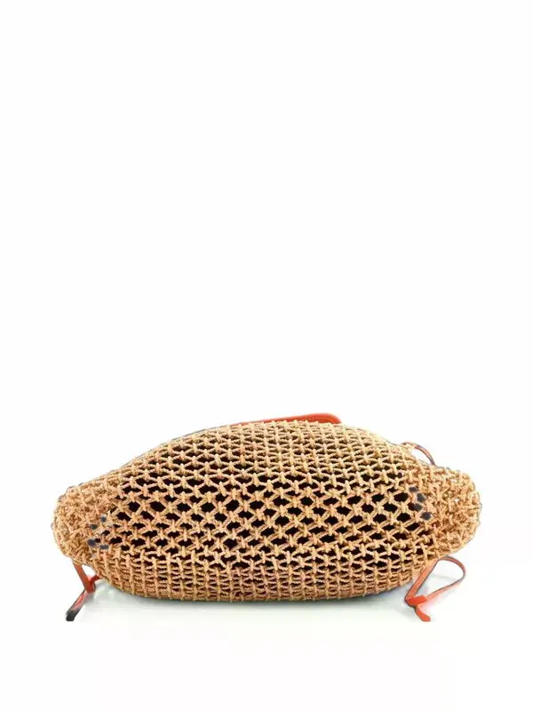 Goyard Aligre Bag Raffia Net With Coated Canvas Tote Bag