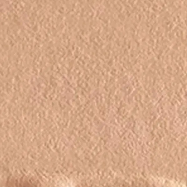 Dior Forever Natural Velvet Compact Foundation