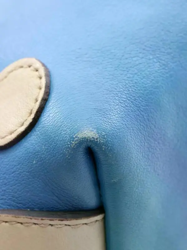 Gucci 2000-2015 Gg Supreme Zoo Handbag