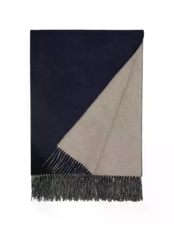 Brunello Cucinelli Two-tone Silk Double Cloth Throw With Fringe - Blue