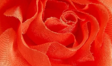 Khaite Frankie Floral Brooch - Orange