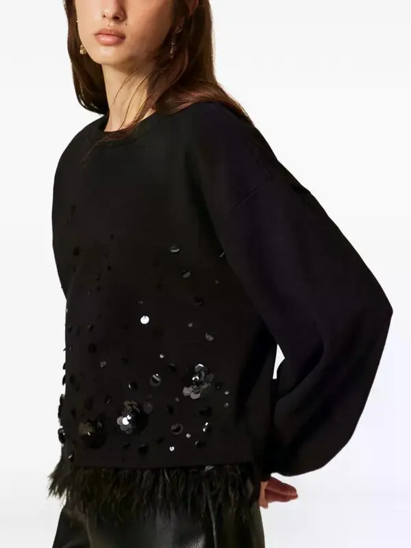 TWINSET Sweatshirt With Embroidery And Feathers