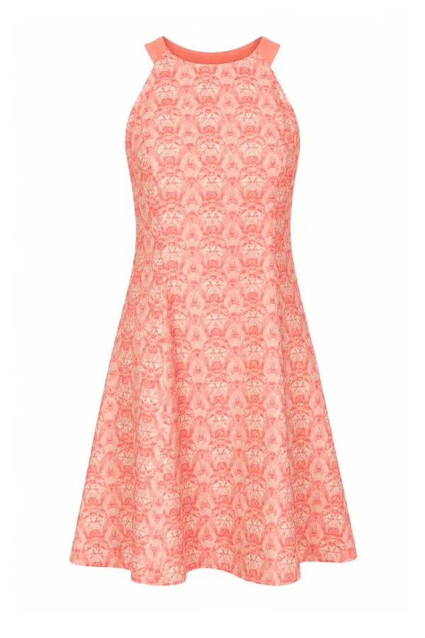 CONQUISTA Coral Lace Fit & Flare Dress