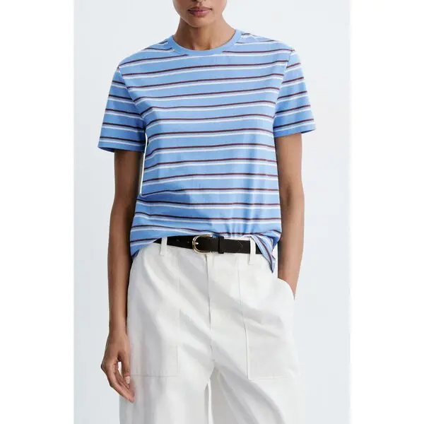 Mango Stripe Cotton T-shirt - Blue