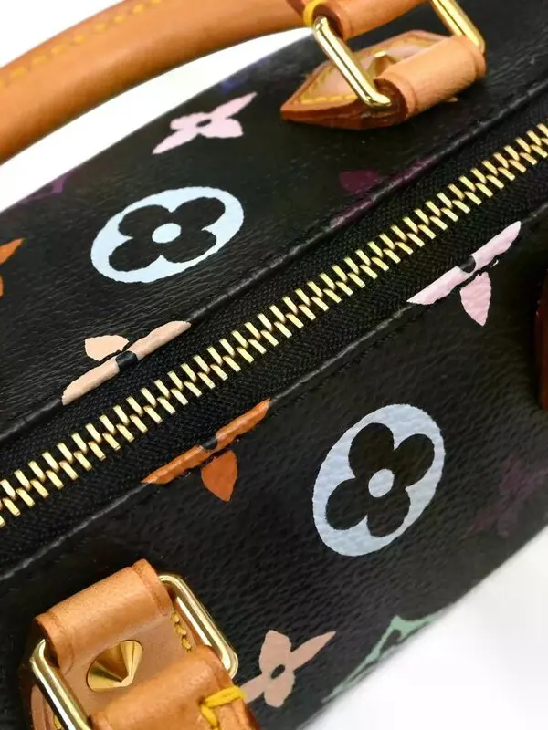 LOUIS VUITTON Multicolor Speedy Mini Bag
