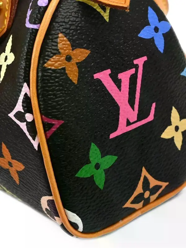 LOUIS VUITTON Multicolor Speedy Mini Bag
