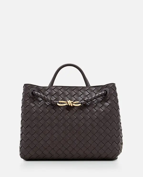 Bottega Veneta Andiamo Medium Bag