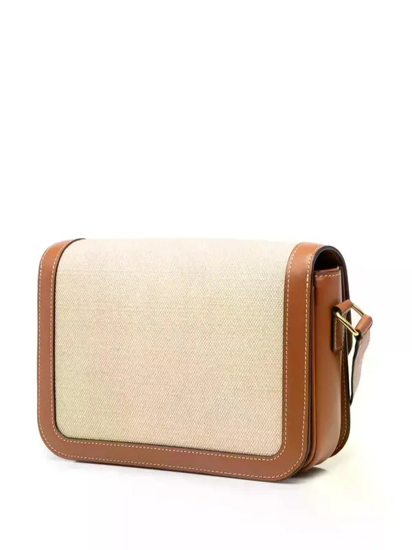 Celine 2022 Classique Canvas And Calfskin Triomphe Crossbody Bag