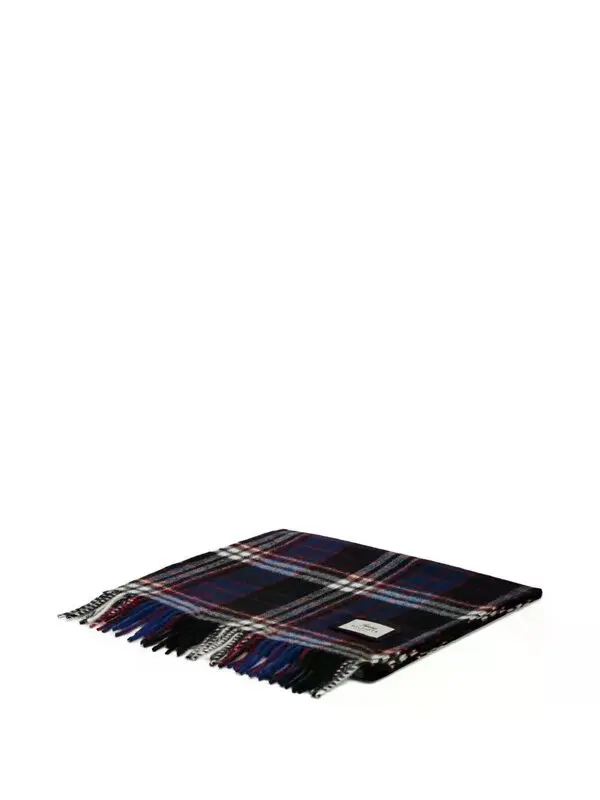 TOMMY HILFIGER Check-pattern Fringed Scarf