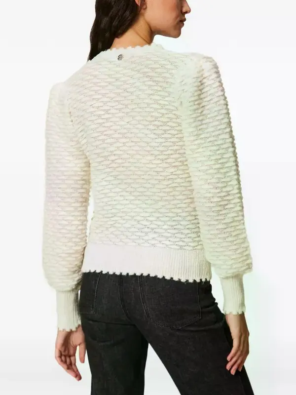 TWINSET Recycled Yarn Jumper With Embroidery