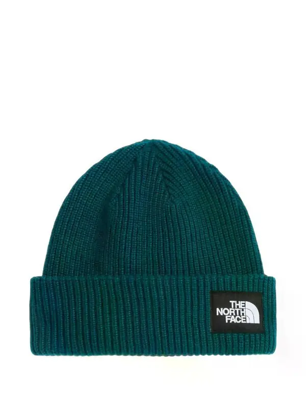 The North Face Salty Lined Beanie